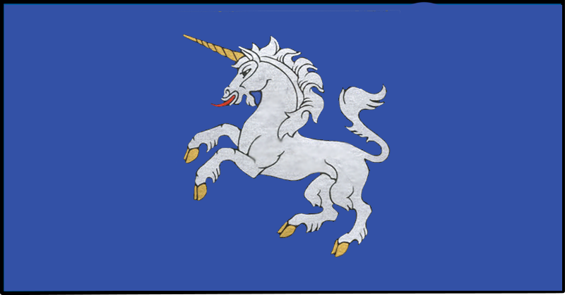 Flag_of_Merkinė – Burning Flipside